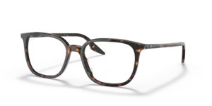 Ray-ban Ray-Ban Eyeglasses Havana