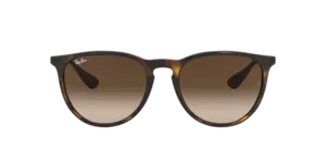 Ray-ban Erika Classic Sunglasses