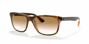 Ray-ban Ray-Ban Sunglasses Light Havana