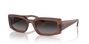 Ray-ban Ray-Ban Sunglasses Transparent Brun