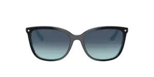 Tiffany & Co. Tiffany & Co. Square Sunglasses Black