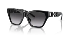 Emporio Armani Sunglasses - Shiny Black