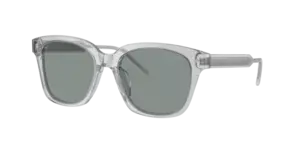 Giorgio Armani Giorgio Armani AR8210U Sunglasses Transparent Gris