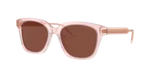 Giorgio Armani Ar8210u Sunglasses - Transparent Pink