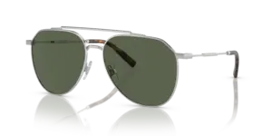 Dolce & Gabbana Dg2296 Silver