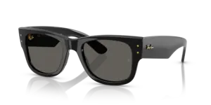 Ray-ban Ray-Ban Full Rim Sunglasses Noir