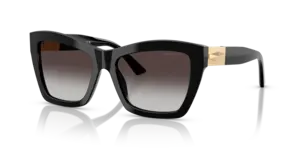 JIMMY CHOO Jimmy Choo Sunglasses Noir