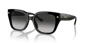 COACH Coach HC8392U Sunglasses Noir