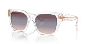 COACH Hc8392u Sunglasses - Transparente Claro