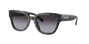 COACH Butterfly Sunglasses Gris Perle Signature C