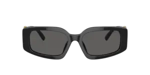 Tiffany & Co. Steve Mcqueen Rectangle Sunglasses - Black