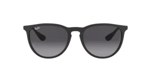 Ray-ban Ray-Ban Erika Classic Sunglasses Rubber Black