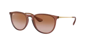 Ray-ban Ray-Ban Erika Classic Sunglasses Transparent Light Brown