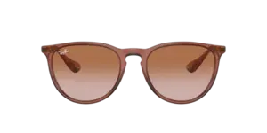 Ray-ban Ray-Ban Erika Classic Sunglasses Transparent Light Brown