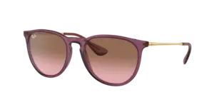 Ray-ban Ray-Ban Erika Classic Sunglasses Transparent Violet