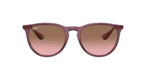 Ray-ban Ray-Ban Erika Classic Sunglasses Transparent Violet