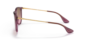 Ray-ban Erika Classic Sunglasses - Transparent Violet