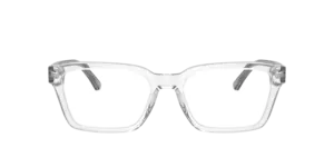 Emporio Armani Emporio Armani EA3192 Eyeglasses Shiny Crystal