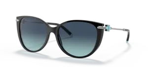 Tiffany & Co. Tf4178 Sunglasses - Noir