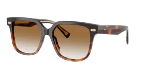 Brunello Cucinelli Sunglasses Havana Gradient