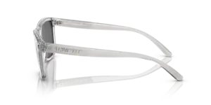 ARNETTE An4321 Sunglasses - Transparent Grey
