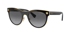 Versace VE2198 Sunglasses Black