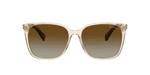Ralph Lauren Acetate Square Frame Sunglasses - Shiny Transparent Brown