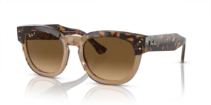 Ray-ban Ray-Ban Sunglasses Havana Sur Brun Transparent
