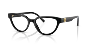 Dolce & Gabbana Dg3358 Noir