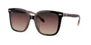 COACH Square Frame Sunglasses - Black
