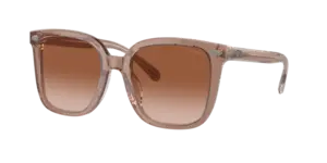 COACH Square Frame Sunglasses Marrón