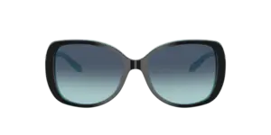 Tiffany & Co. Sunglasses - Black On Tiffany Blue