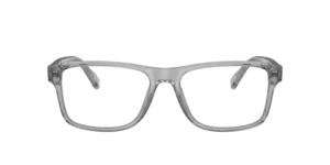 Polo Ralph Lauren Polo Ralph Lauren Eyeglasses Transparent Grey