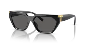 Tiffany & Co. Tf4205u Sunglasses - Noir