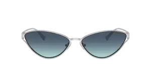 Tiffany & Co. Cat Eye Sunglasses - Silver