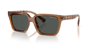 Armani Exchange Sunglasses - Shiny Transparent Brown
