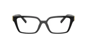 Tiffany & Co. Tiffany Eyeglasses TF2232U Black