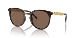 Dolce & Gabbana Sunglasses Dg6189u Havana