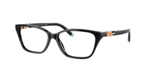 Tiffany & Co. Tiffany & Co. Rectangle Eyeglasses Noir