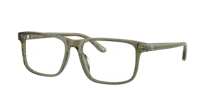 Ralph Lauren Rectangle Eyeglasses - Transparent Olive Green