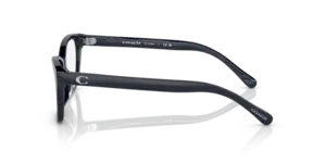 COACH Butterfly Eyeglasses