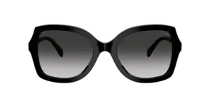 COACH Butterfly Sunglasses - Black