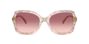 COACH Butterfly Sunglasses Transparent Floral Field