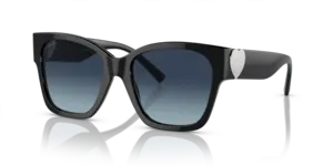 Tiffany & Co. Full Rim Square Frame Sunglasses - Noir