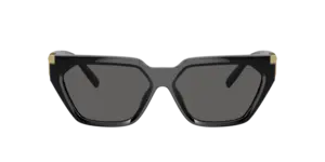 Tiffany & Co. Tf4205u Sunglasses - Black