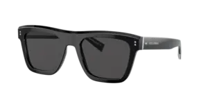 Dolce & Gabbana Dolce&Gabbana DG4420 Sunglasses Black
