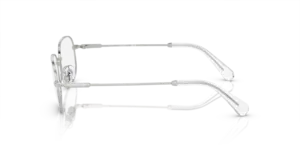 SWAROVSKI Sk1005 Eyeglasses - Silver