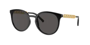 Dolce & Gabbana Dg6189u Sunglasses - Black