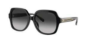 COACH Acetate Square Frame Sunglasses - Black