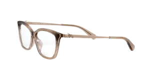 COACH Butterfly Eyeglasses - Transparent Brown